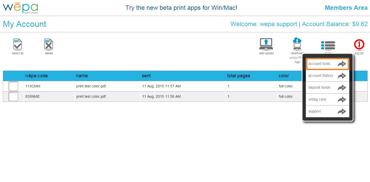 Print Card Balance | wepa Support